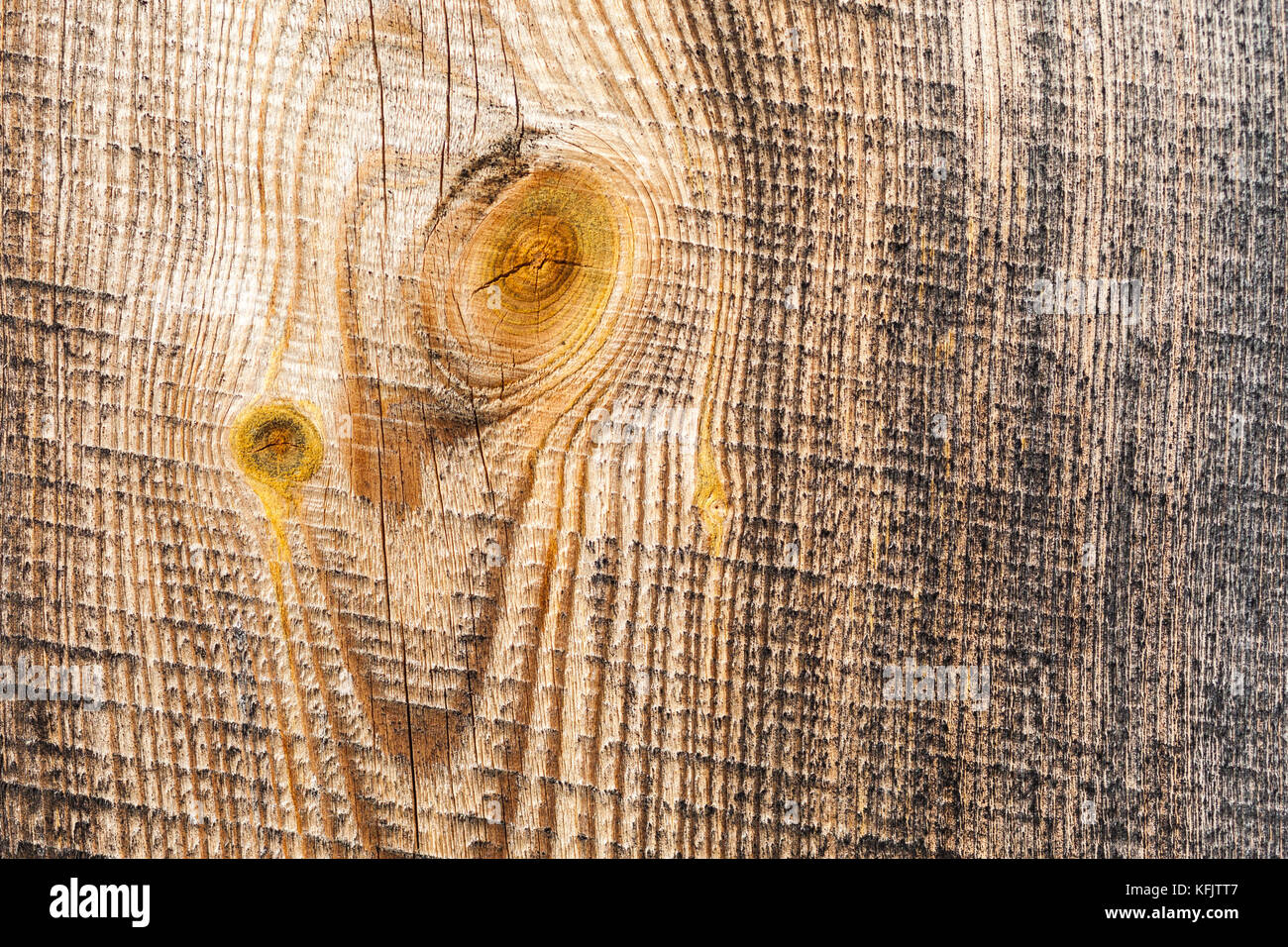 Wood texture, tree background pattern. Showing growth rings. Outdoor ...