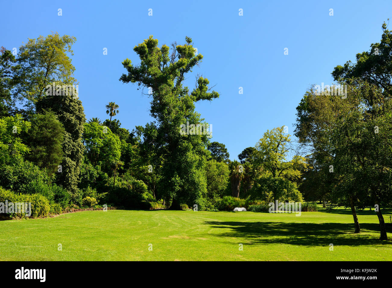 Tree surrounded lawn in Fitzroy Gardens in Melbourne, Victoria ...