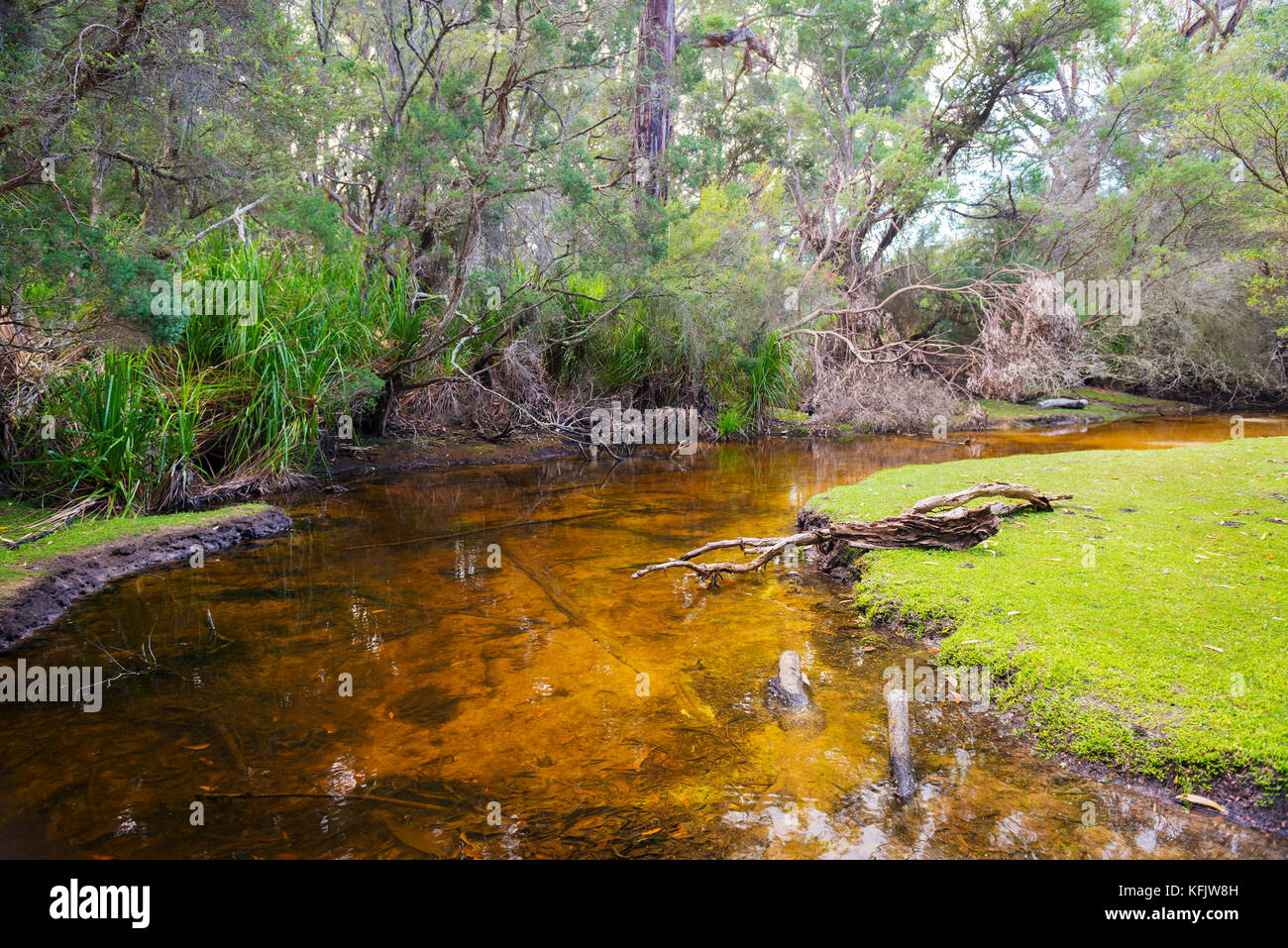 Refuge Cove High Resolution Stock Photography and Images - Alamy