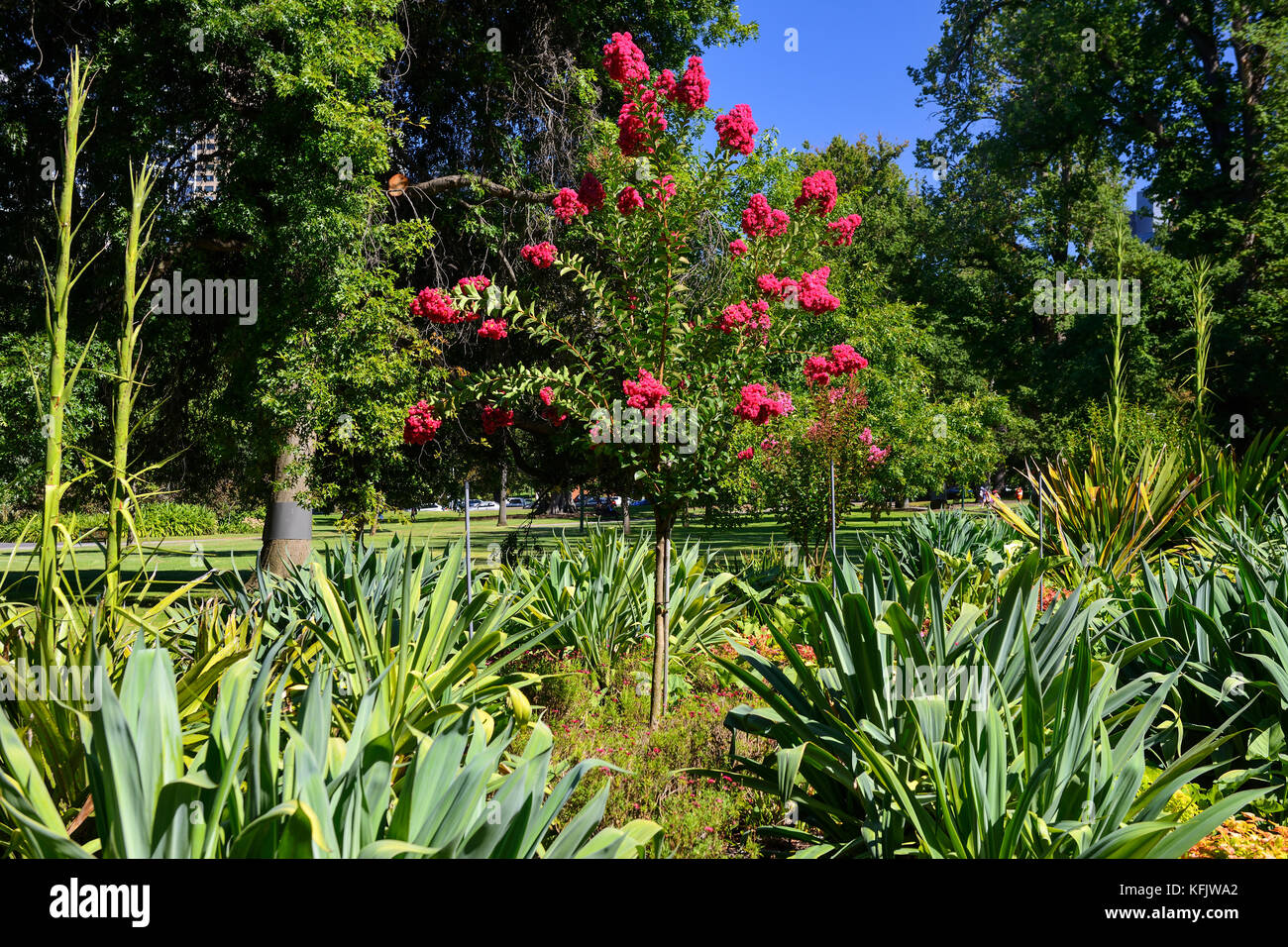 Victorian era public gardens hi-res stock photography and images - Alamy