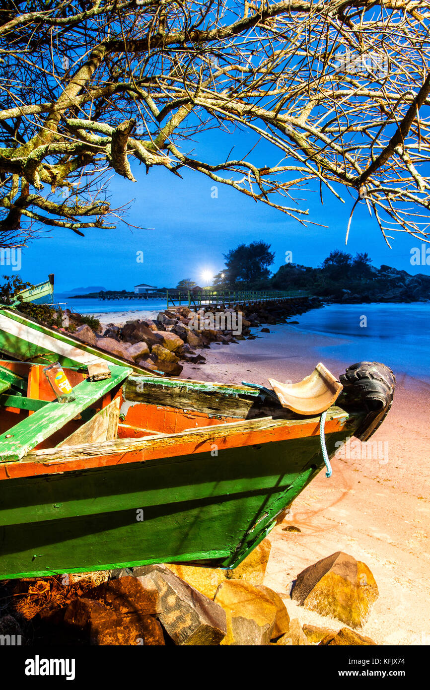 Rock under a tree hi-res stock photography and images - Alamy