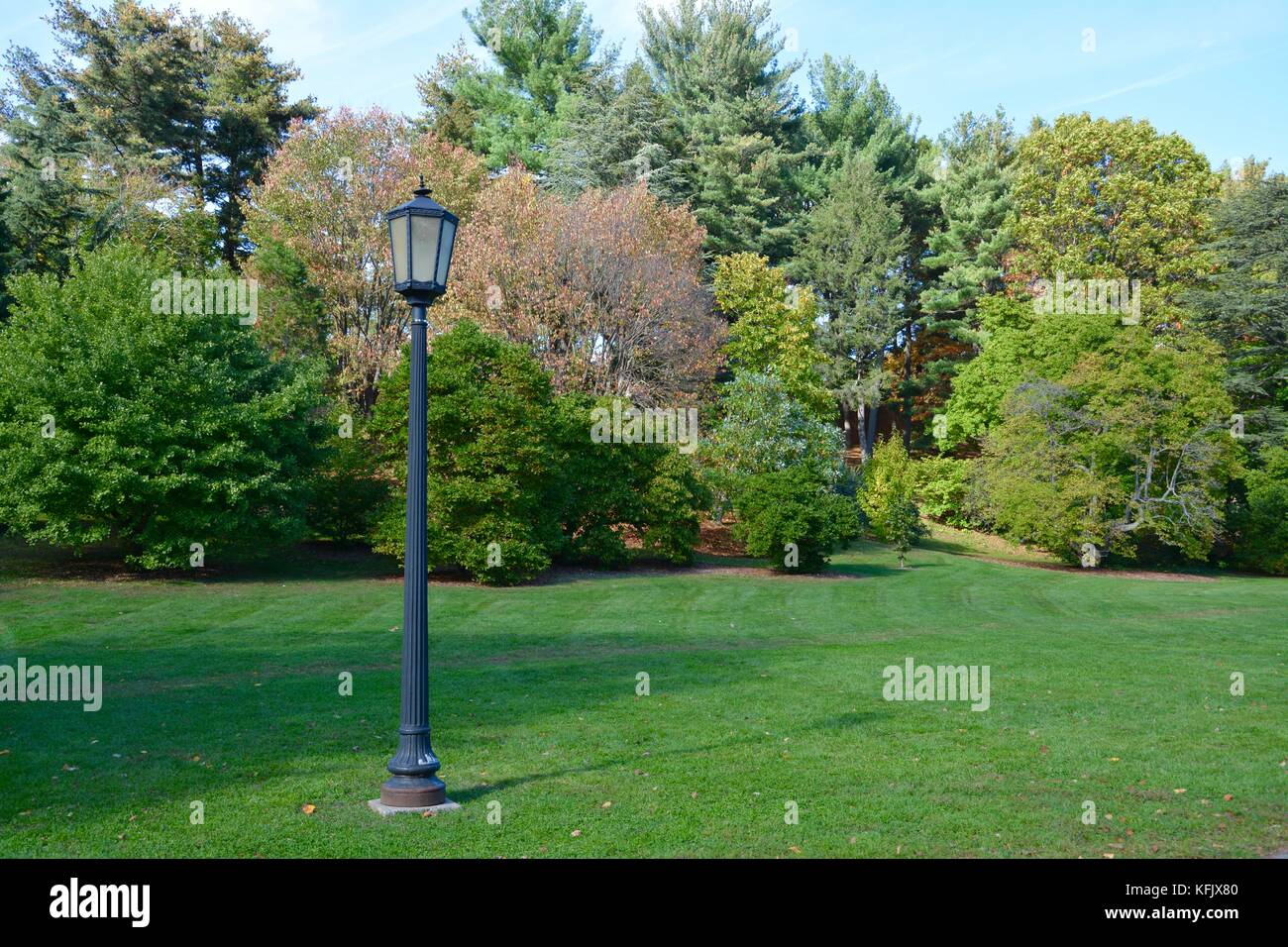 Fall Foliage and the Boston skyline seen from the Arnold Arboretum in ...
