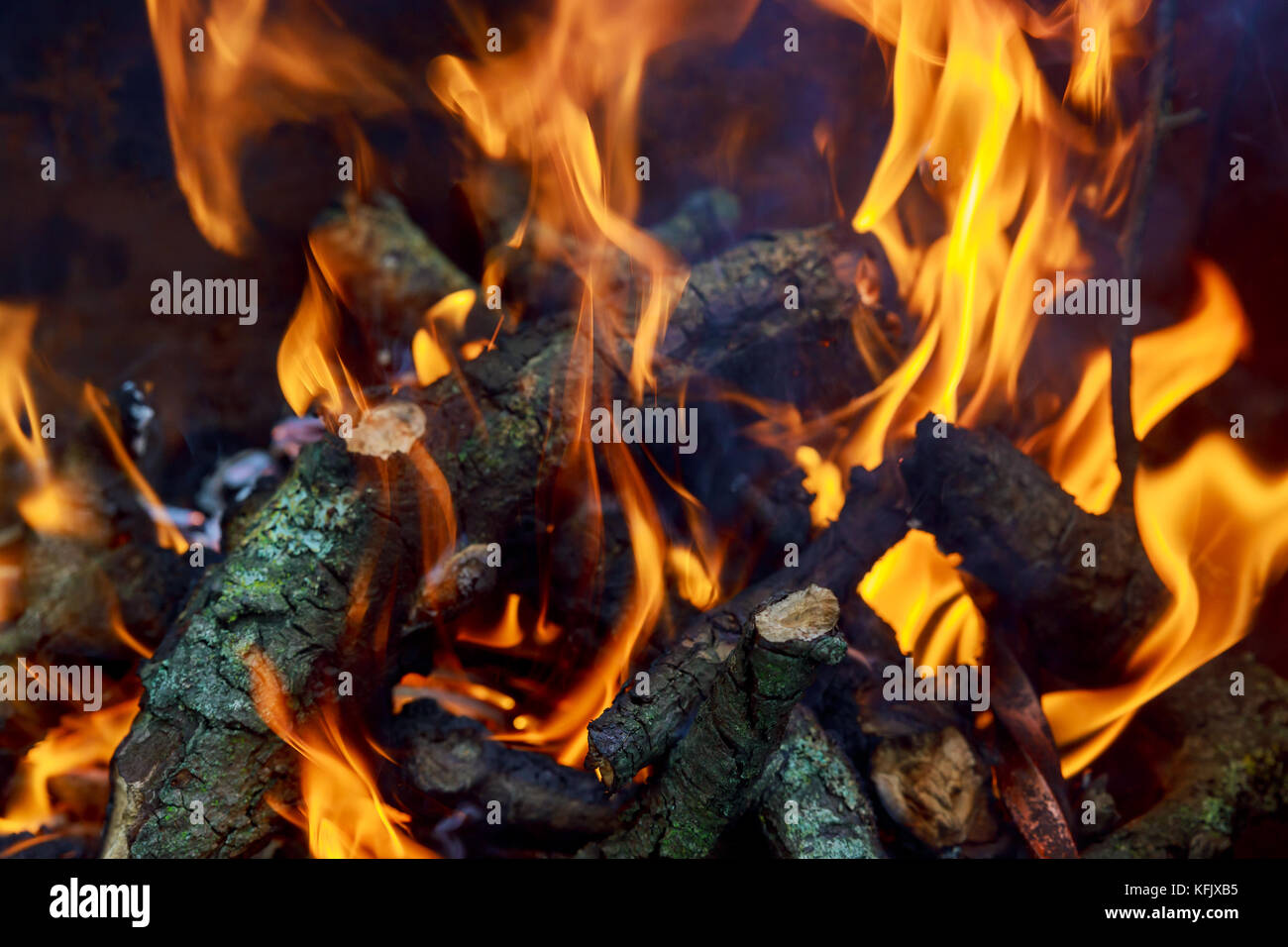 Flames of a campfire in the night fire wood fire Stock Photo - Alamy