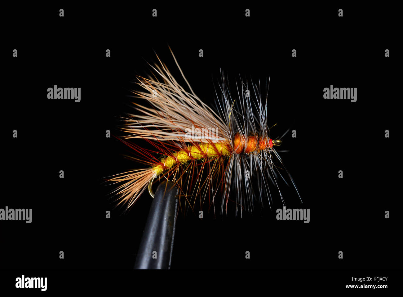 Stimulator attractor dry fly for designed for flyfishing during a stone ...