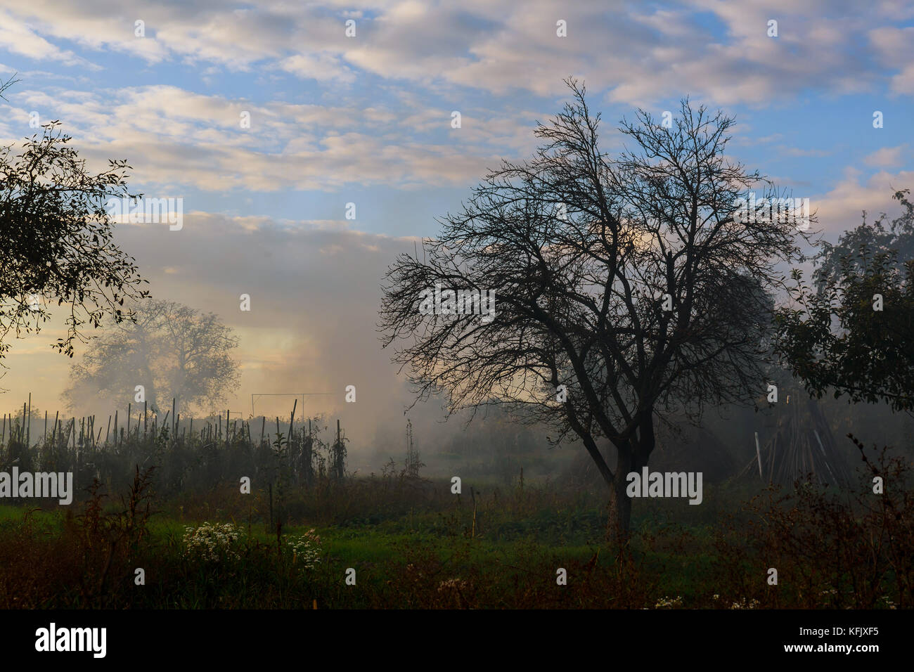 Twilight, fog. Two travelers. Summer evening landscape rural evening ...