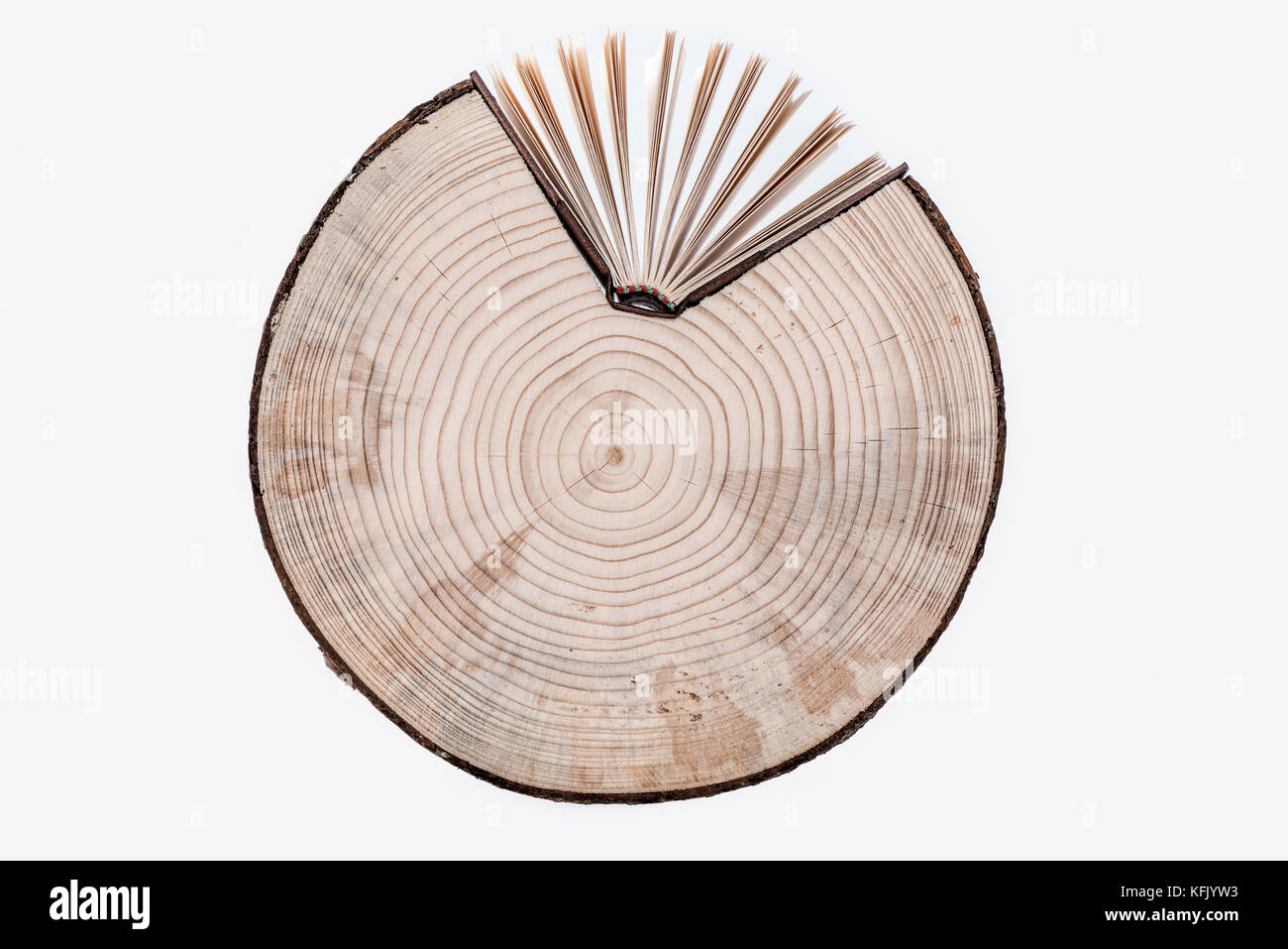 Cross section of tree trunk and book on white background Stock Photo ...