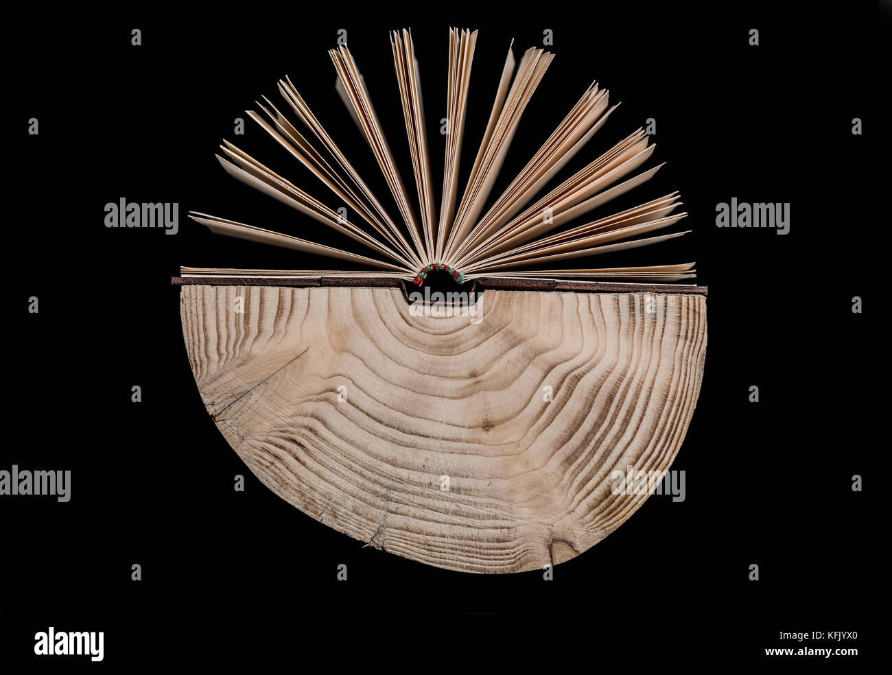 Conceptual image about the cross section of the tree trunk and book on ...
