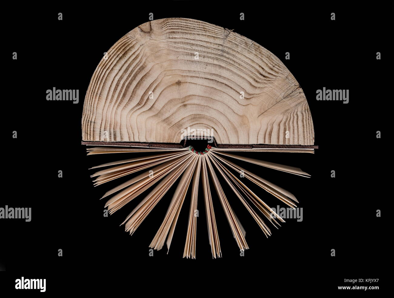 Conceptual image about the cross section of the tree trunk and book on ...