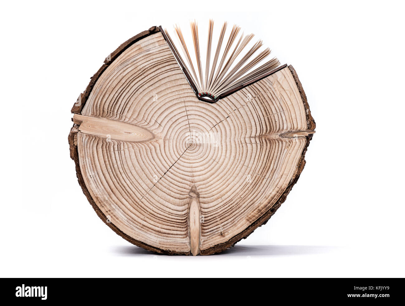 Tree Trunk and Book. Cross section of tree trunk and book on white ...
