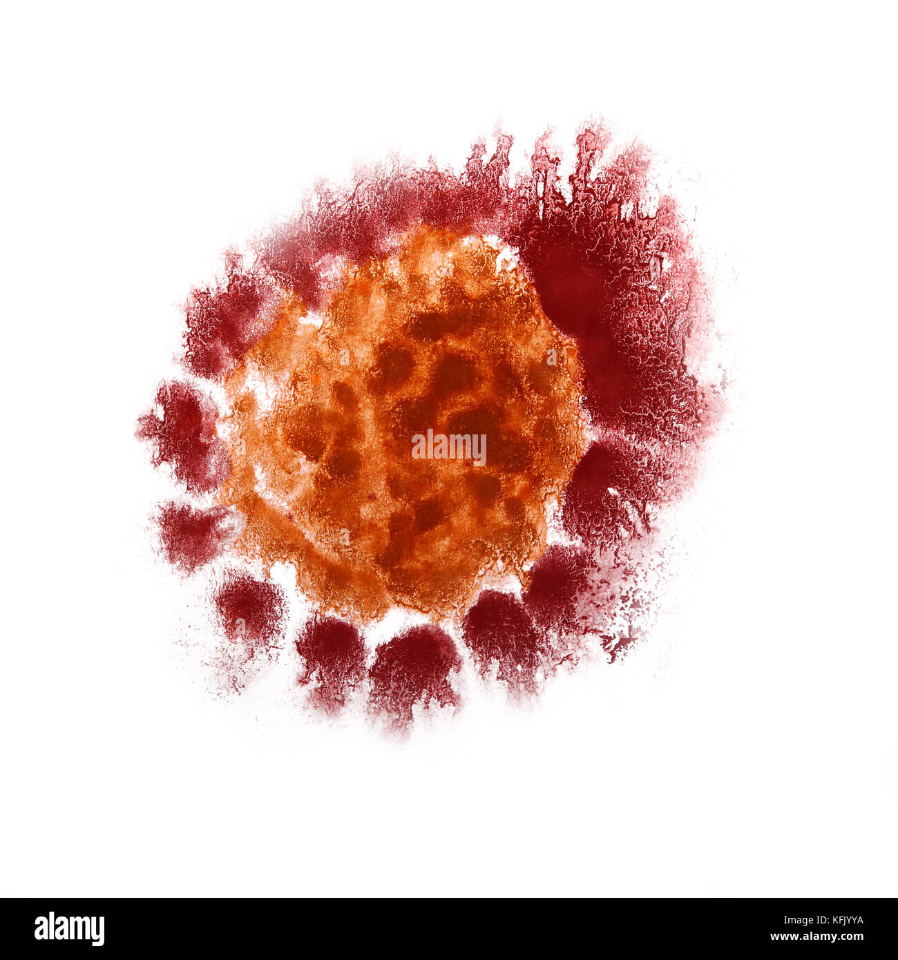 paint splash brown, cherry ink blot and white abstract art brus Stock ...