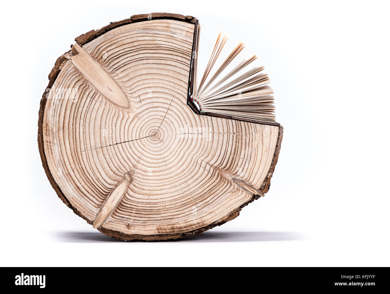 Conceptual image ,tree trunk and book. Cross section of tree trunk and ...