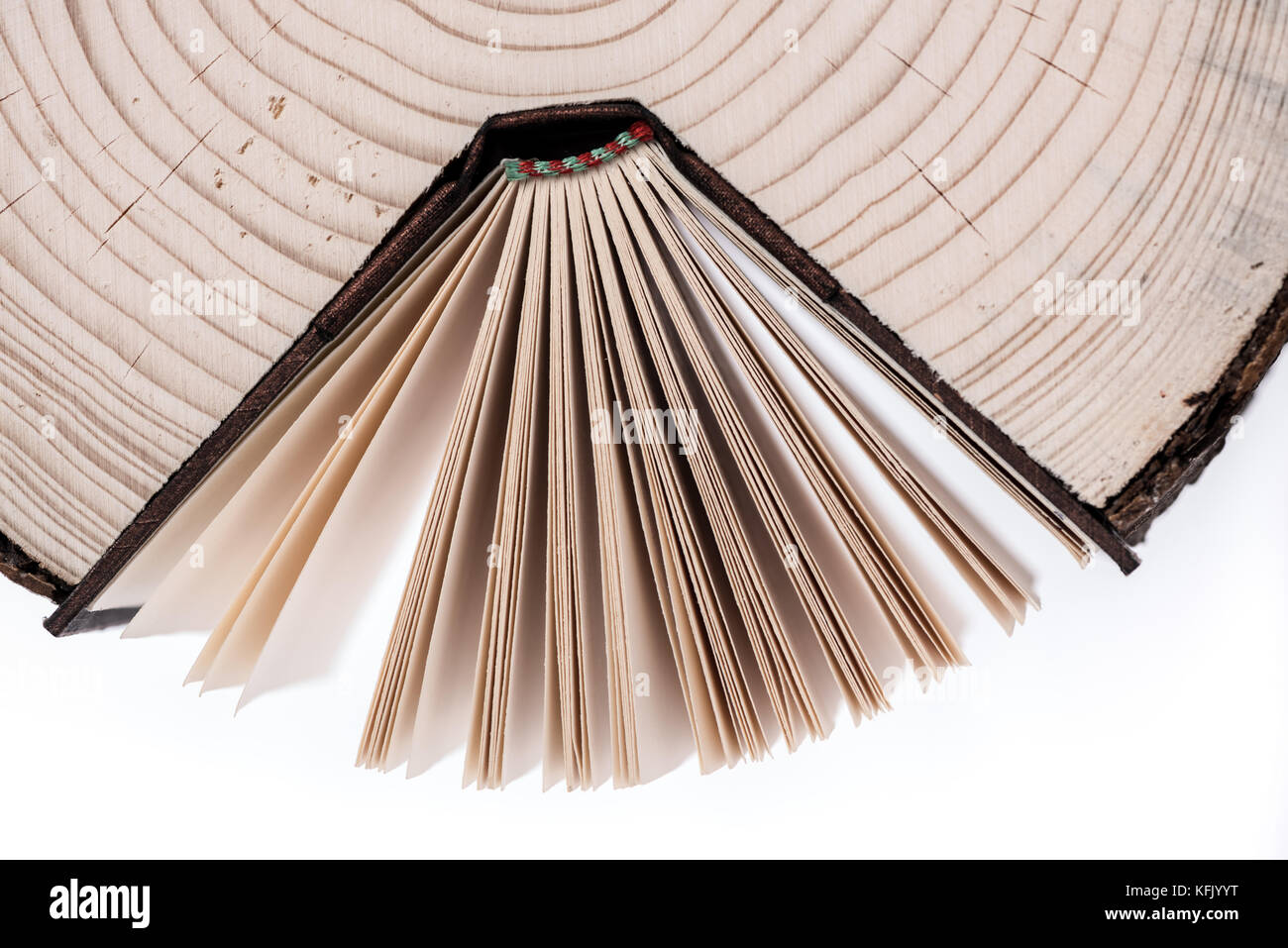 Tree Trunk and Book. Cross section of tree trunk and book on white ...