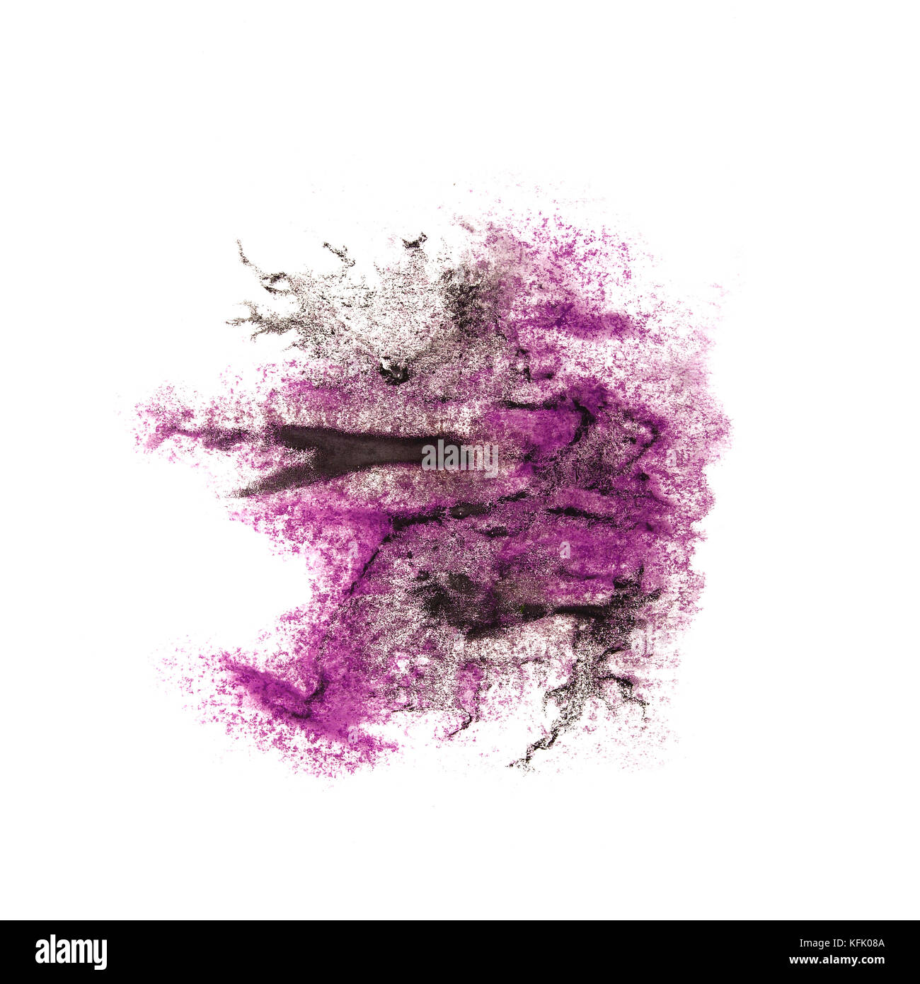 macro Lilac, black spot blotch texture isolated on a white backg Stock ...