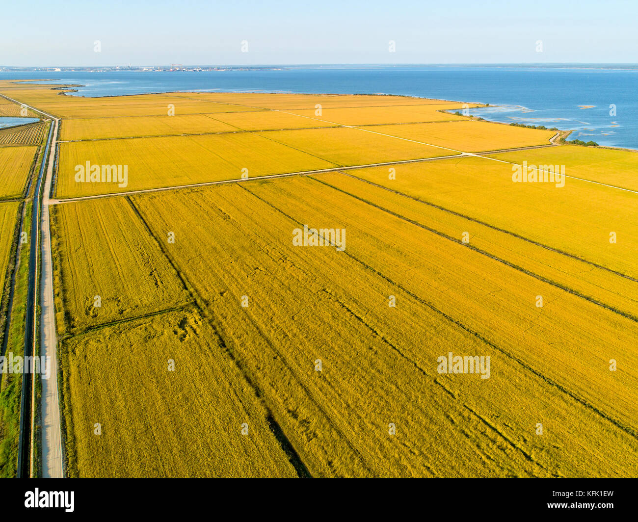 Sunset time rice fields hi-res stock photography and images - Alamy
