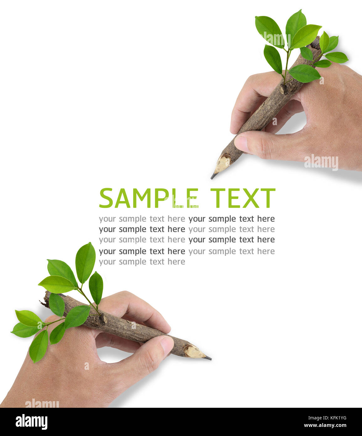 Two Male hand drawing on white background Stock Photo - Alamy