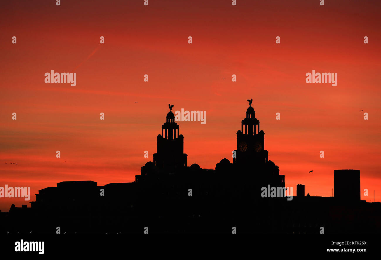 Liver building stock hi-res stock photography and images - Alamy