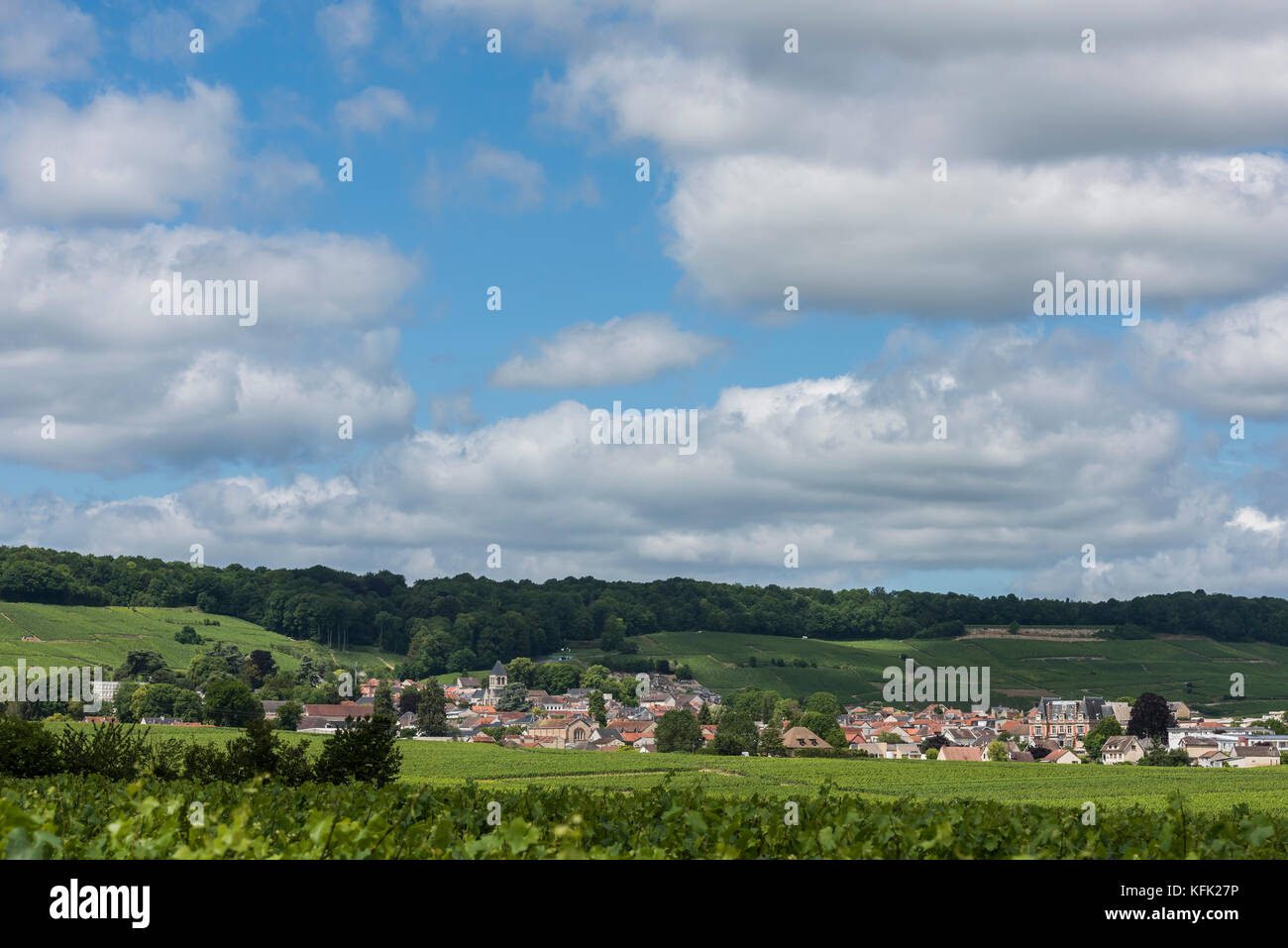 The small Champagne village Avize near Epernay with vineyards and hills ...