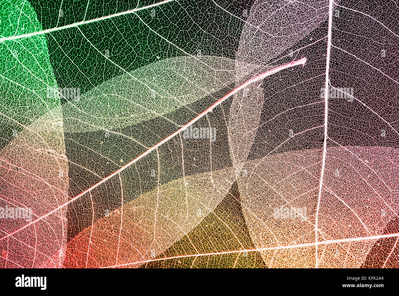 natural colorful background with delicate beautiful transparent fishnet ...