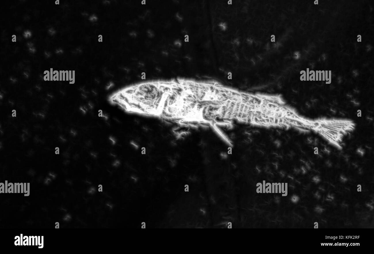 Abstract fractal light background. Concept of death. Fish as symbol of ...