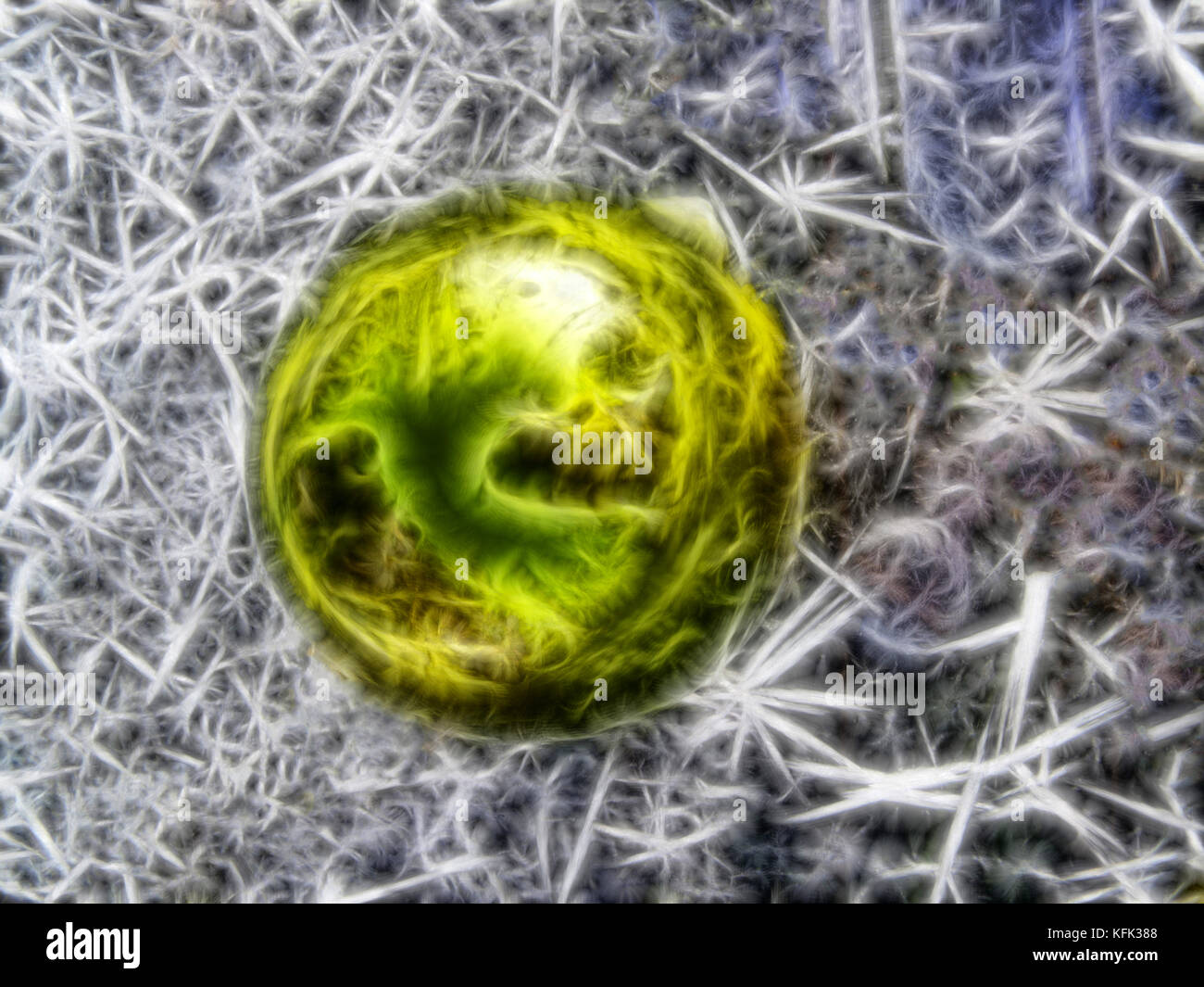 Abstract fractal light background. Chrono winter Christmas December ...