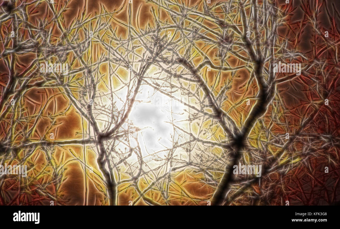 Abstract fractal light background. terrible night picture Stock Photo ...