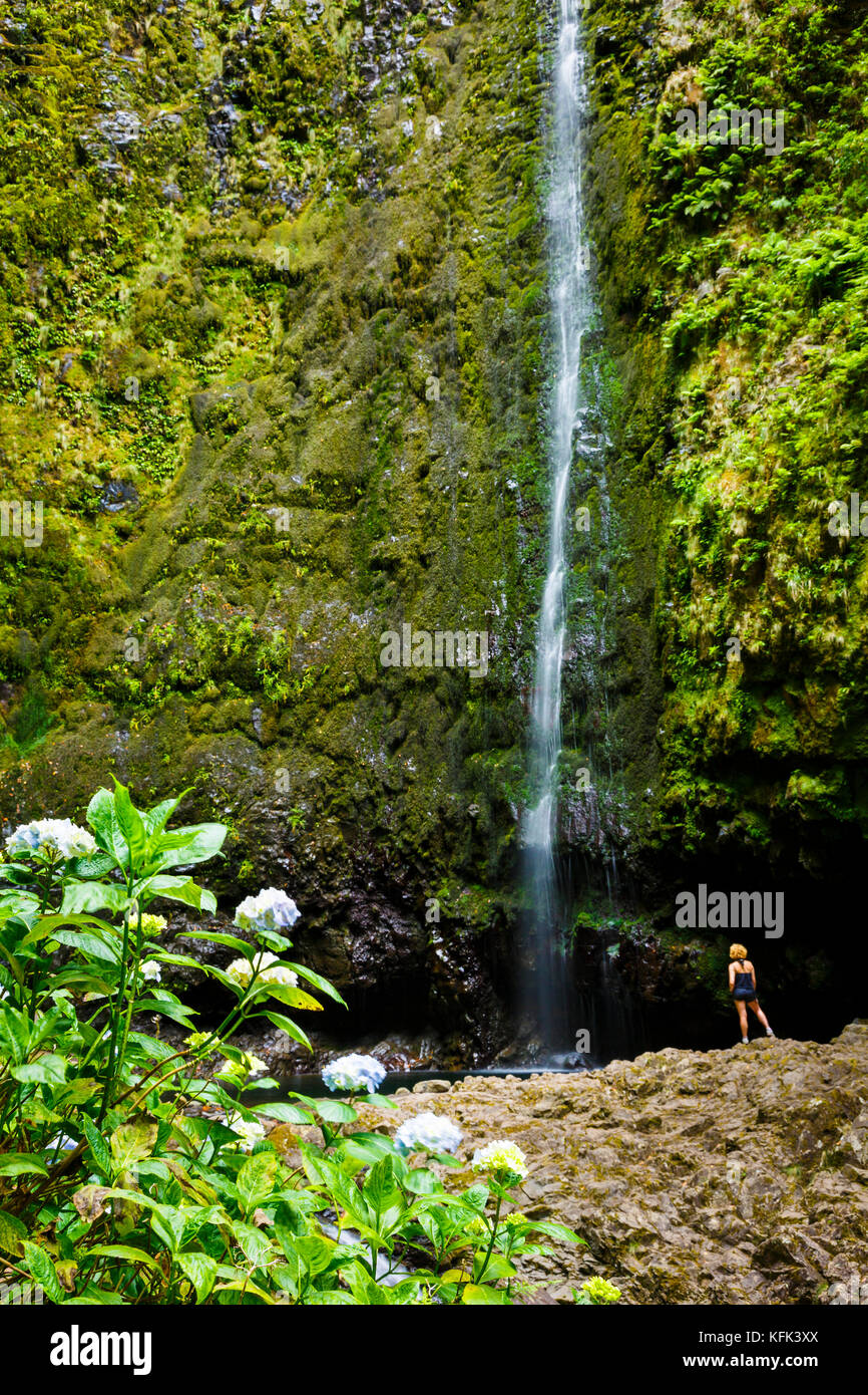 Lily waterfalls hi-res stock photography and images - Alamy