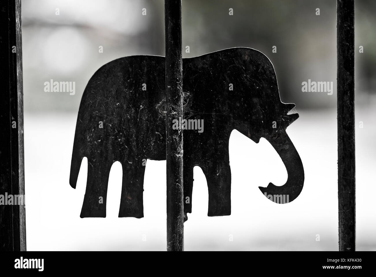 Elephant gate design hi-res stock photography and images - Alamy
