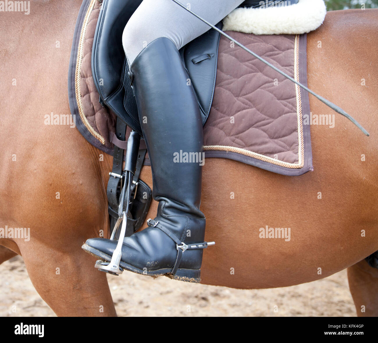 Horse spur hi-res stock photography and images - Alamy