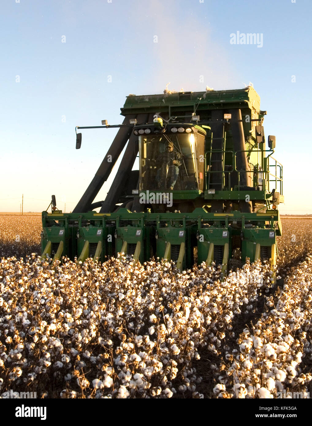 NEW JOHN DEERE 6 ROW COTTON PICKER THAT MAKES ROUND MODULES IN THE ...