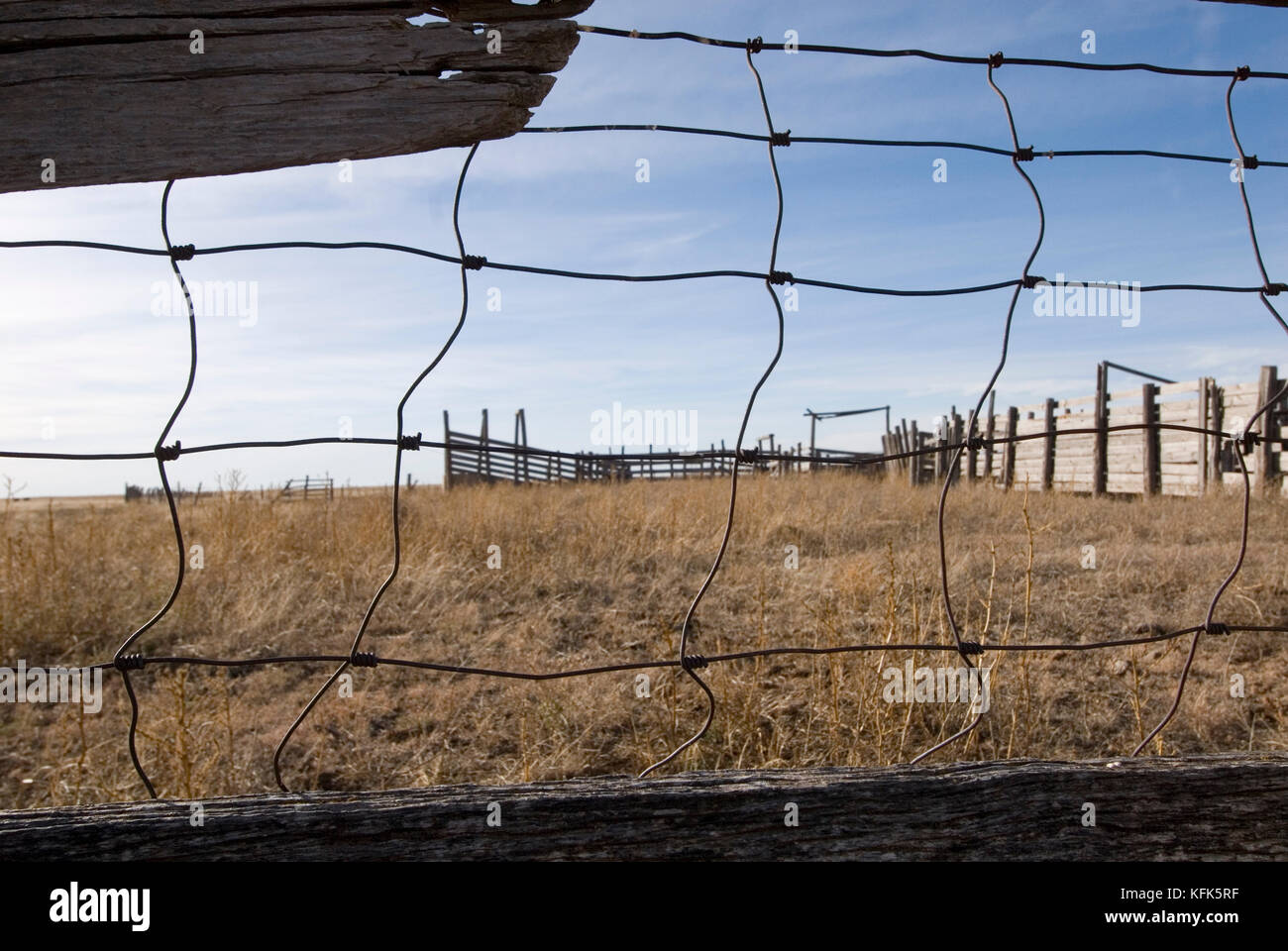 Metal pens hi-res stock photography and images - Alamy