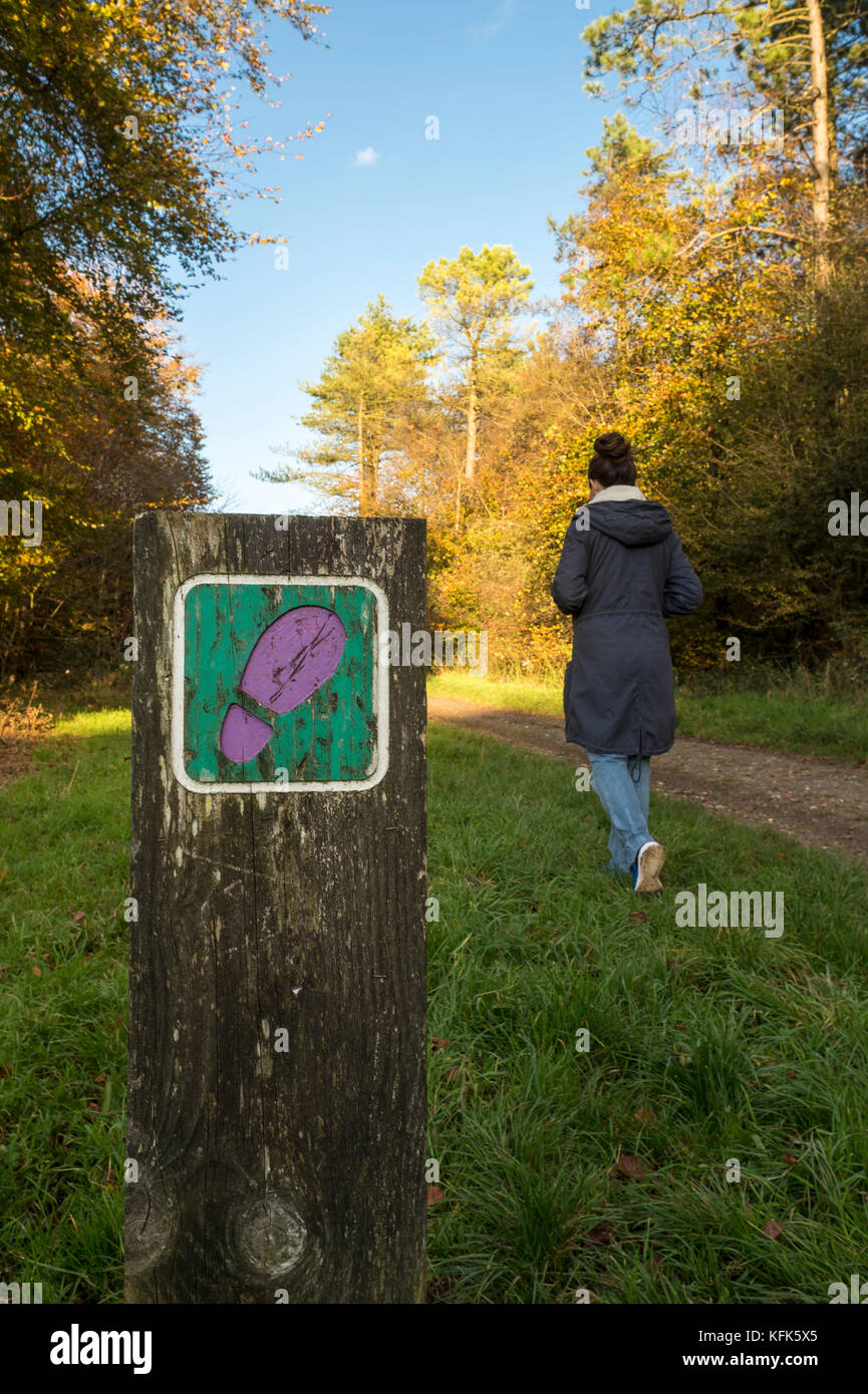 sign post for a nature trail with woman walking along the path Stock ...
