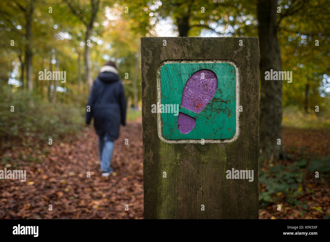 Signpost for a nature trail with woman walking along the path Stock ...