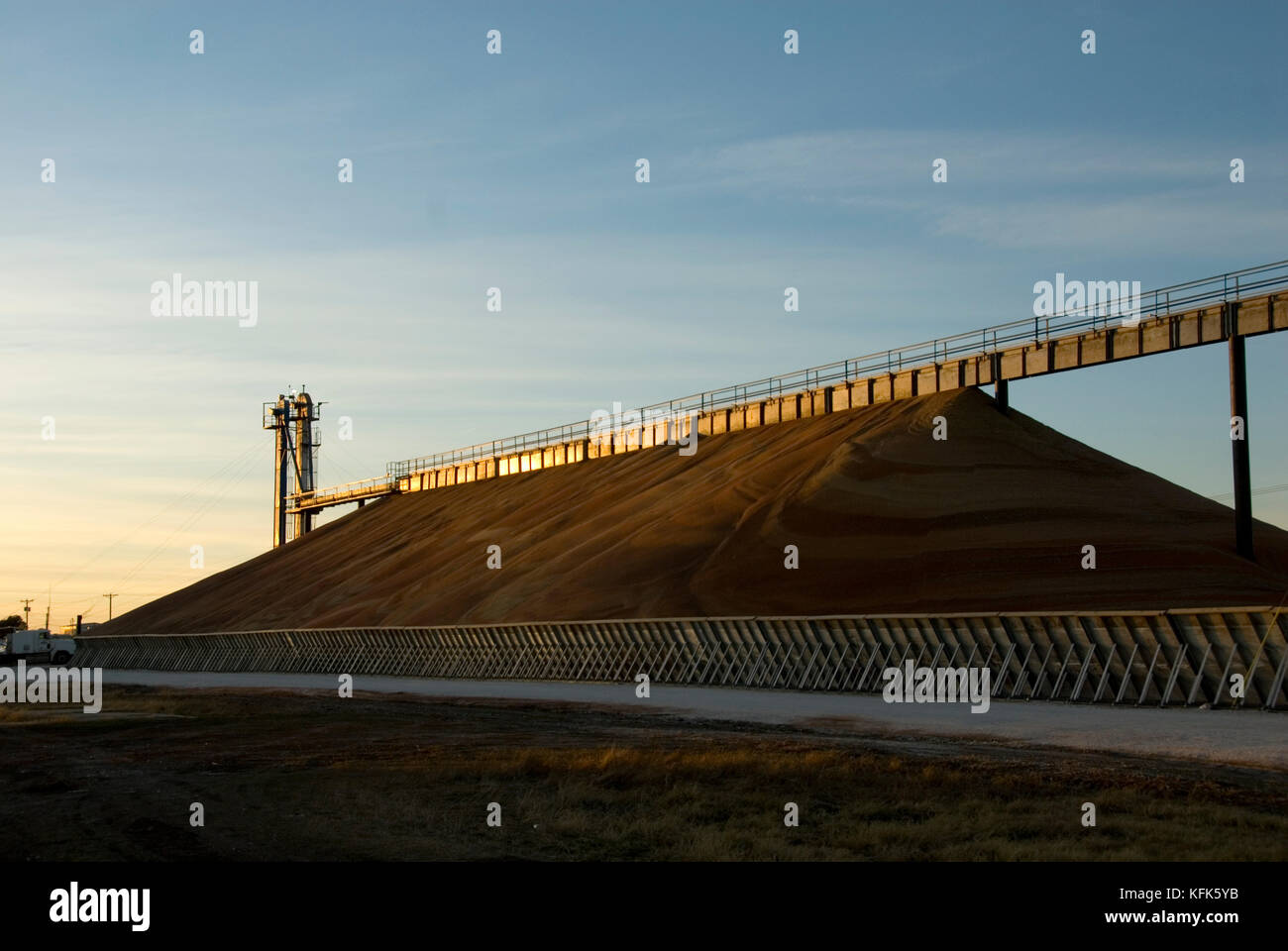 GRAIN SORGHUM OR MILO BEING STORED OUTSIDE IN TEXAS PANHANDLE Stock ...