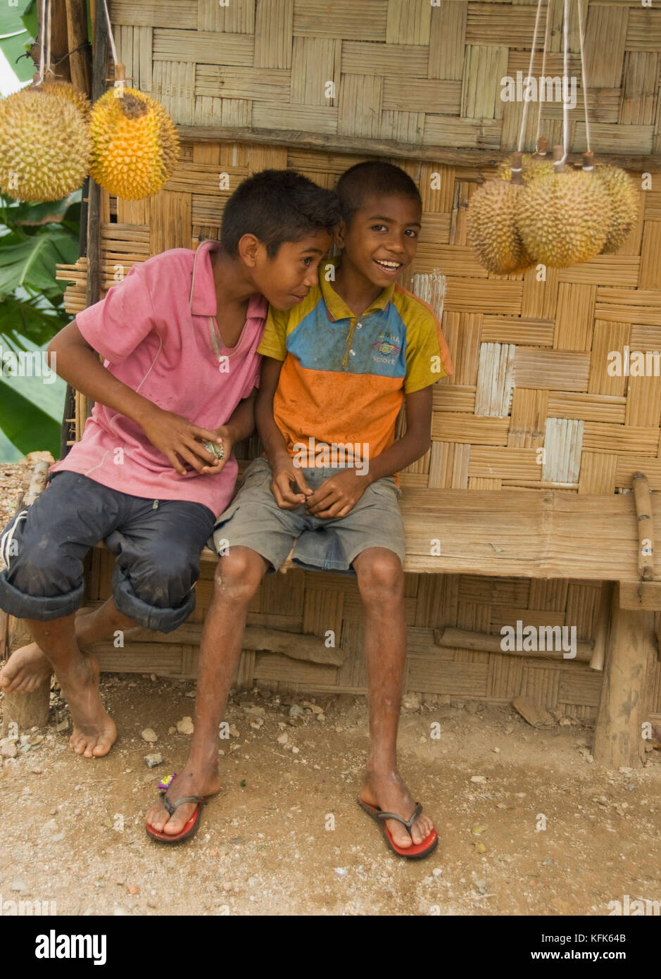 Timor leste rainforest hi-res stock photography and images - Alamy