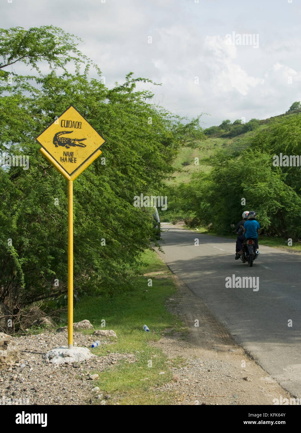 Crocodile crossing hi-res stock photography and images - Alamy