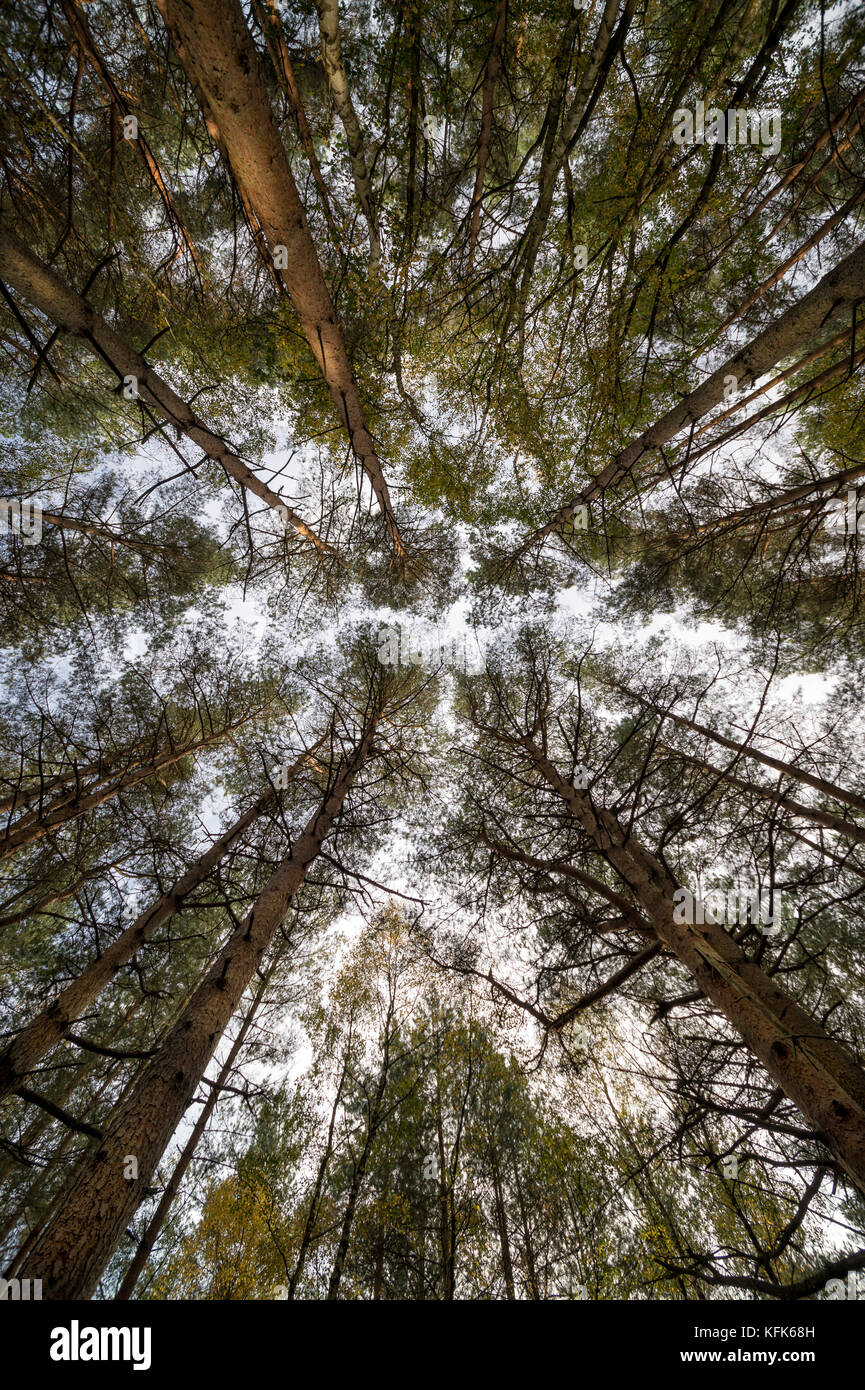 Perspective from base hi-res stock photography and images - Alamy