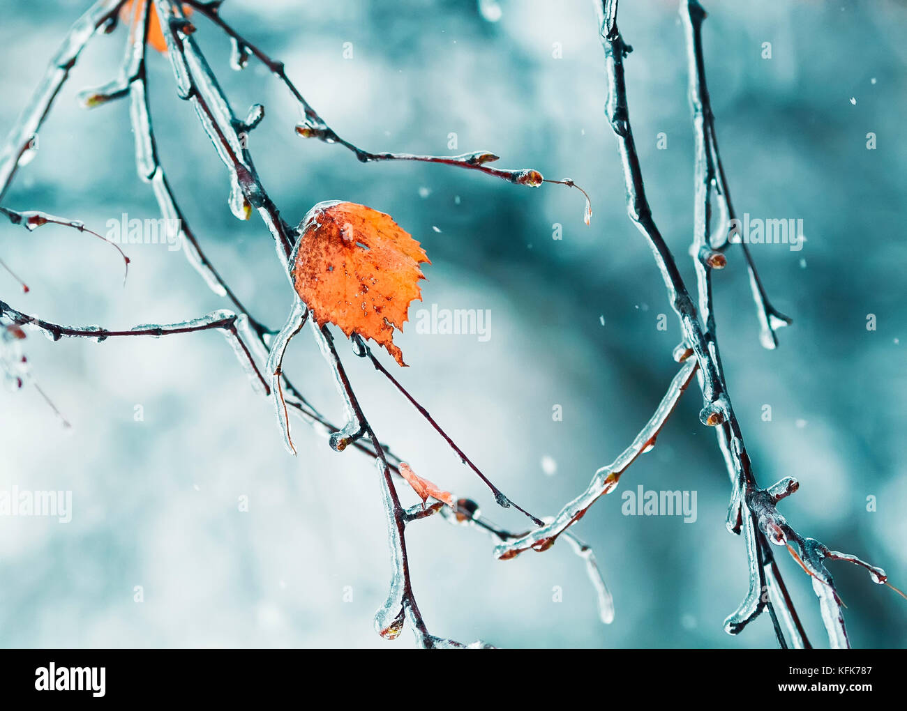 Sparkly tree hi-res stock photography and images - Alamy