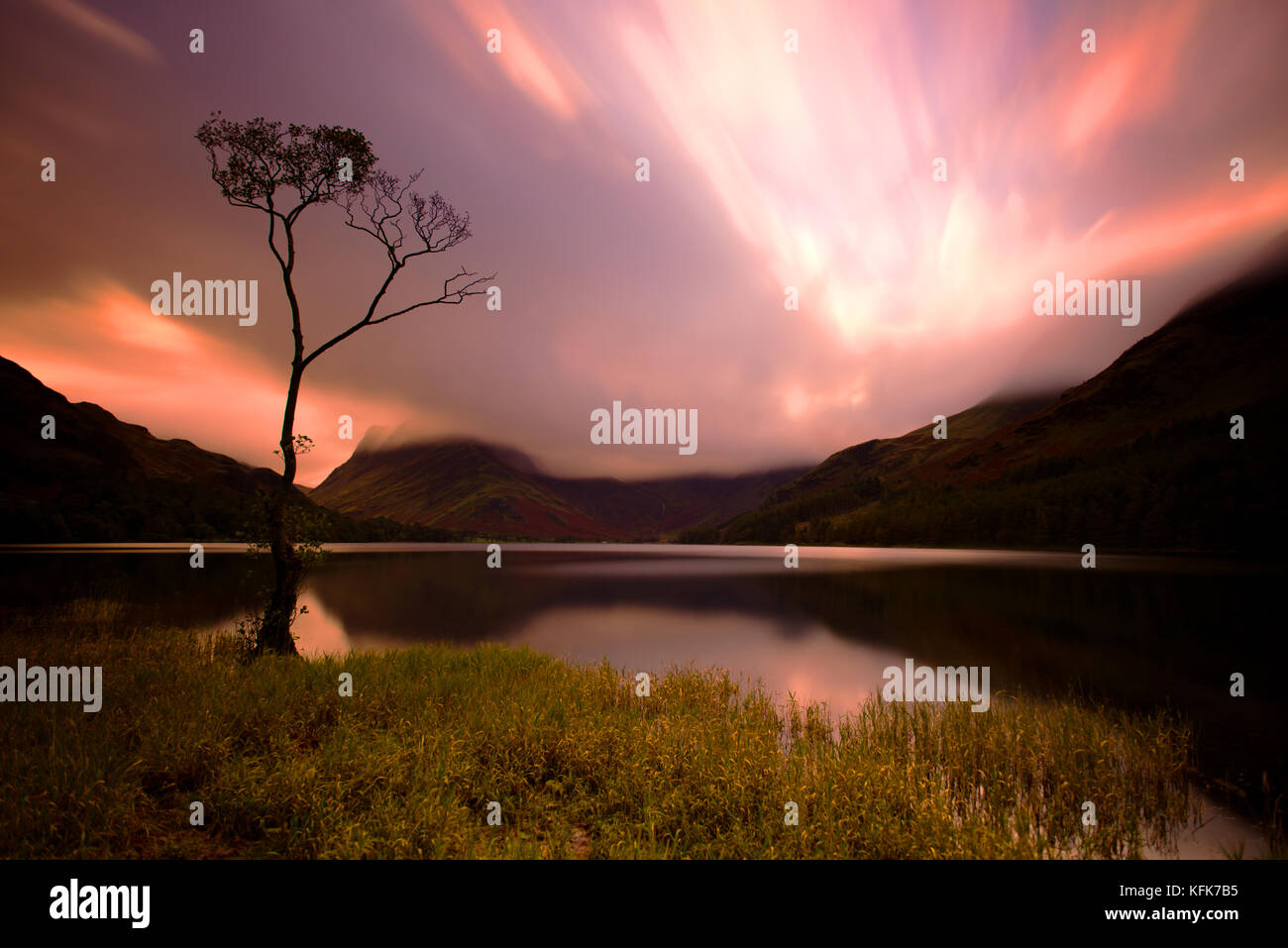 Lone tree buttermere lake district hi-res stock photography and images ...