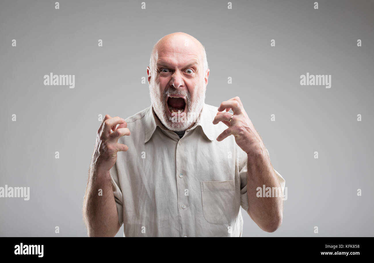 Angry wolf face hi-res stock photography and images - Alamy