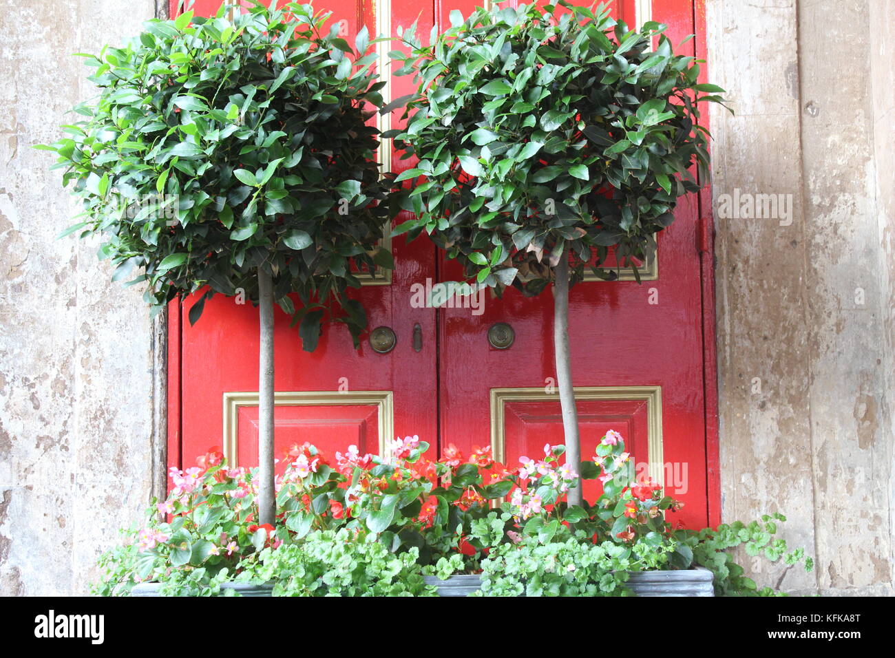 Green representing life and red still life and how they differ in close ...