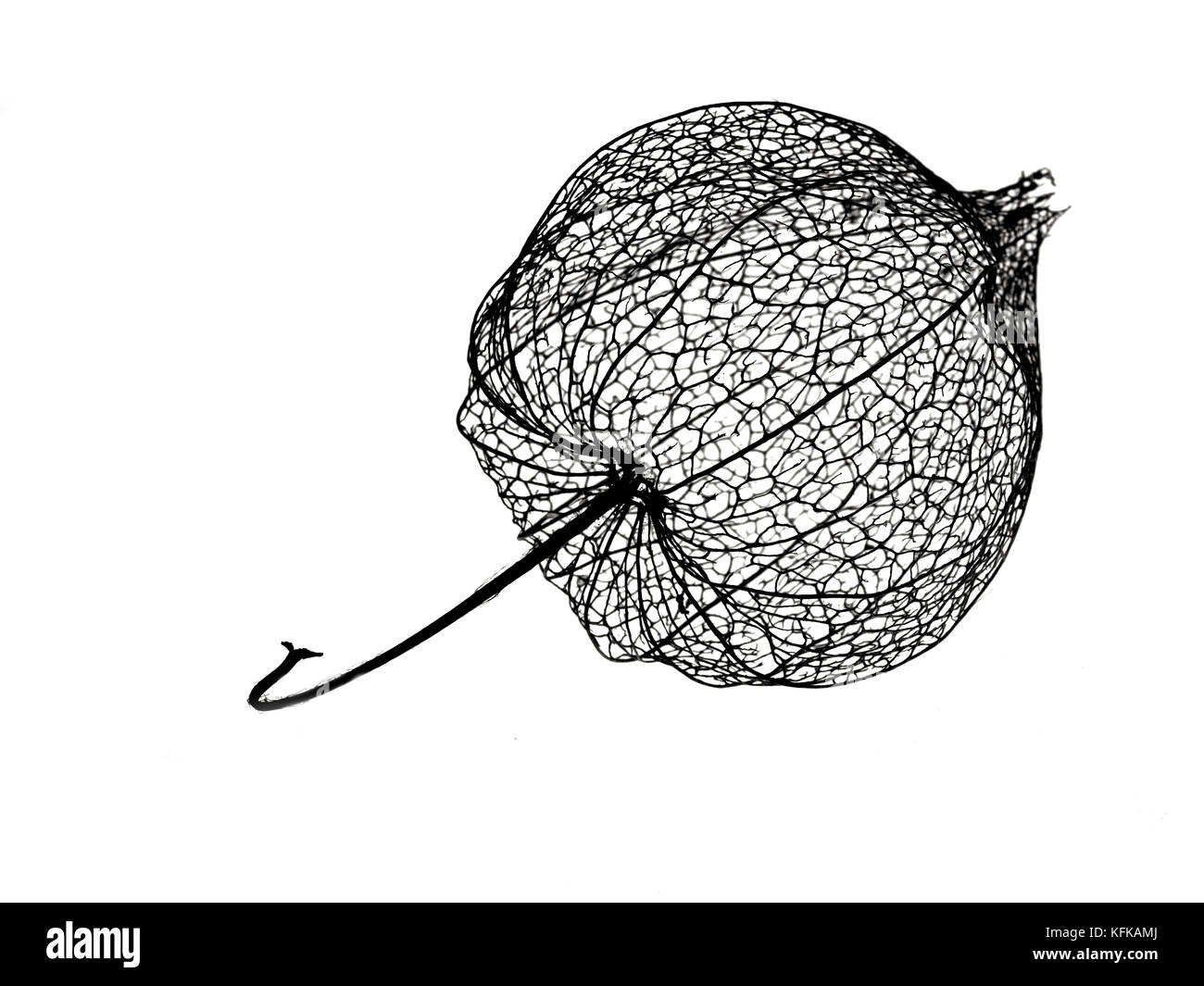 Chinese lantern structure Cut Out Stock Images & Pictures - Alamy
