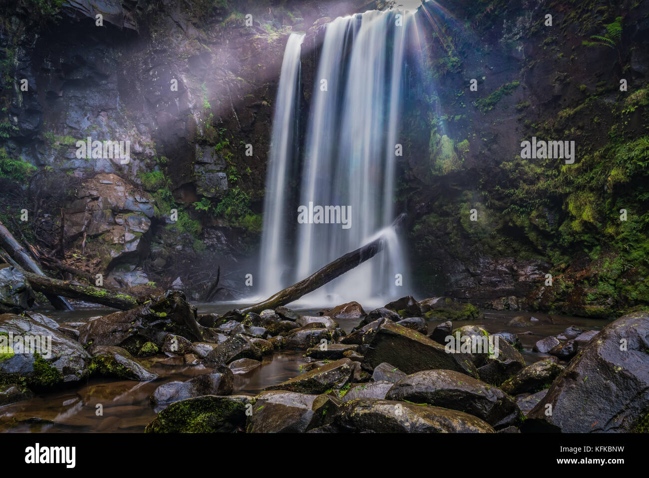 Smoothe, silky waterfall, pouring over a dropped log. Rays of light ...