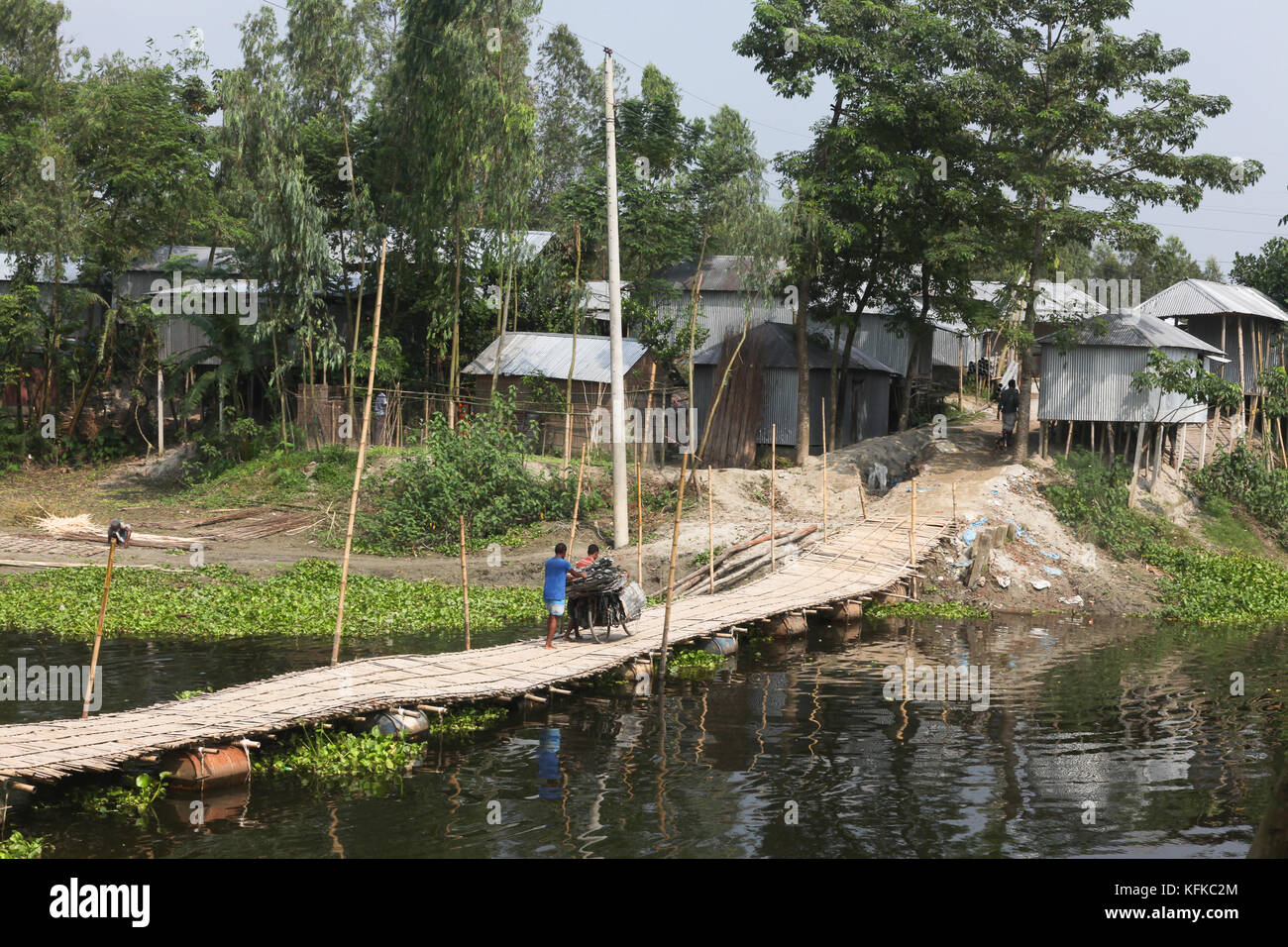 Bamboo pontoon bridge in Kalua village, Chhinni, Kurigram District ...