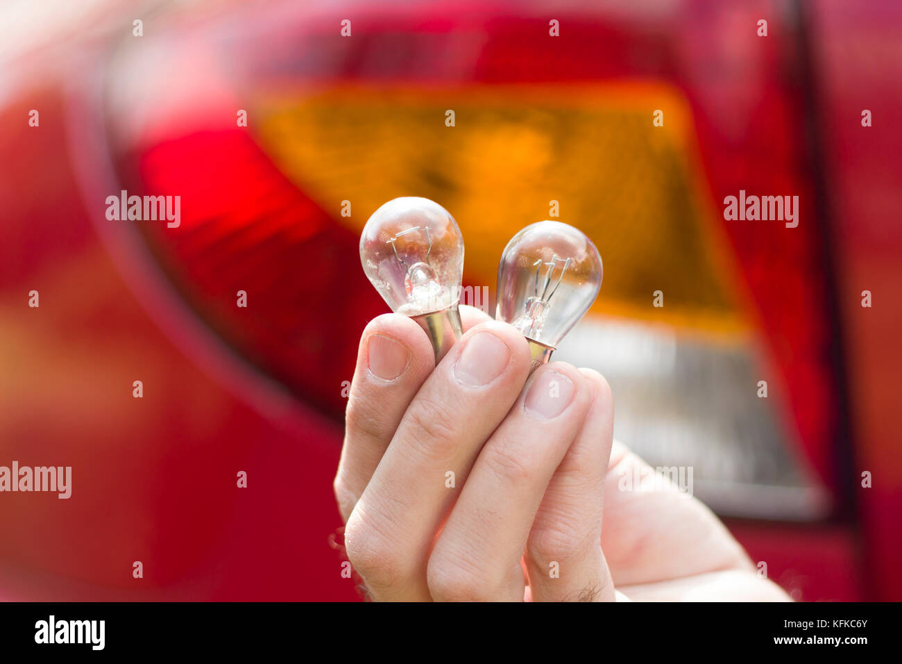 Single Filament Vs Dual Filament at Jerome Henderson blog