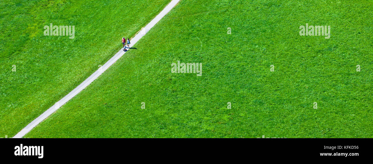 Wide path and long grass hi-res stock photography and images - Alamy