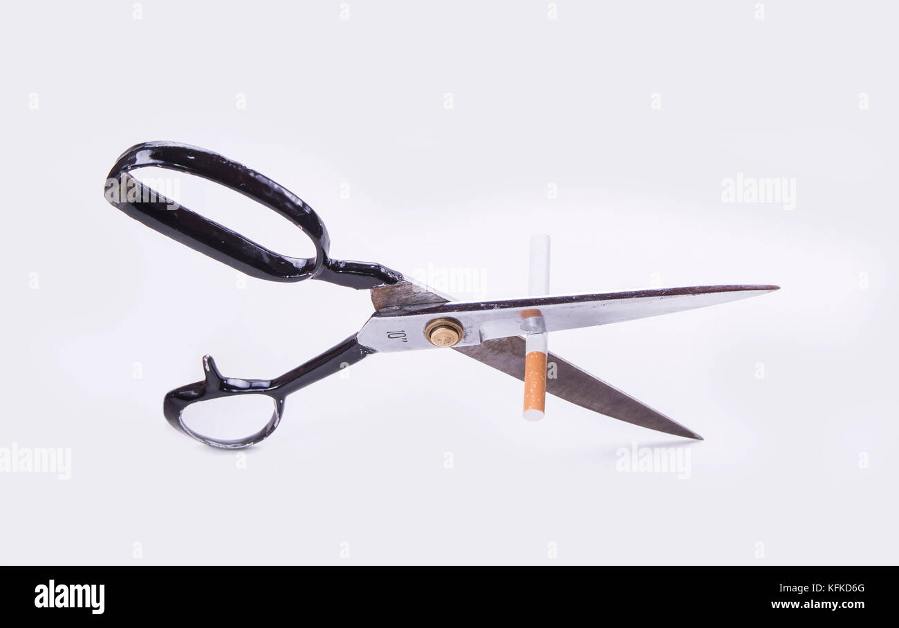Cut cigarette with scissers and stop smoking to save your health Stock ...