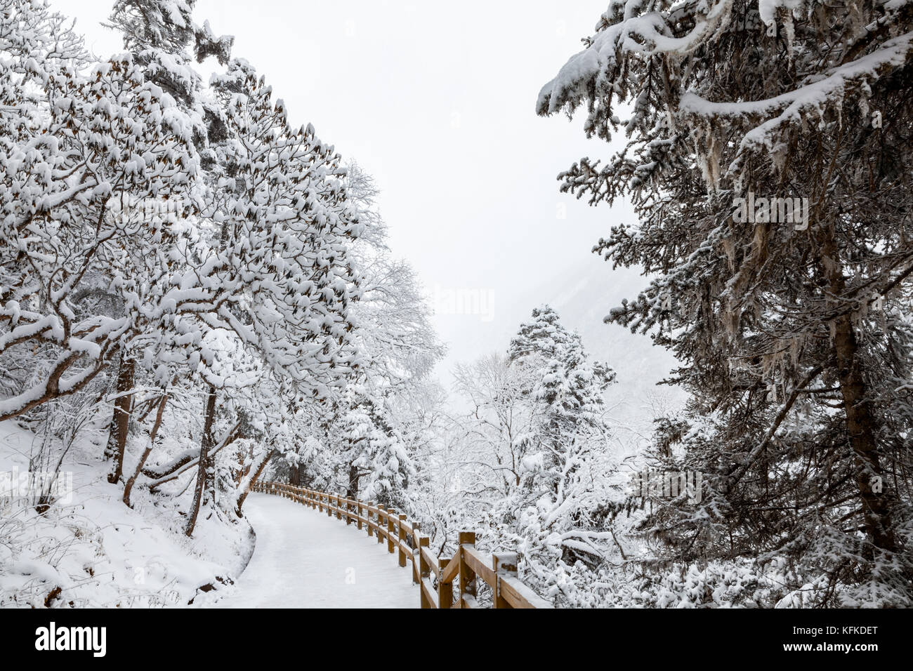 Huanglong landscape hi-res stock photography and images - Alamy
