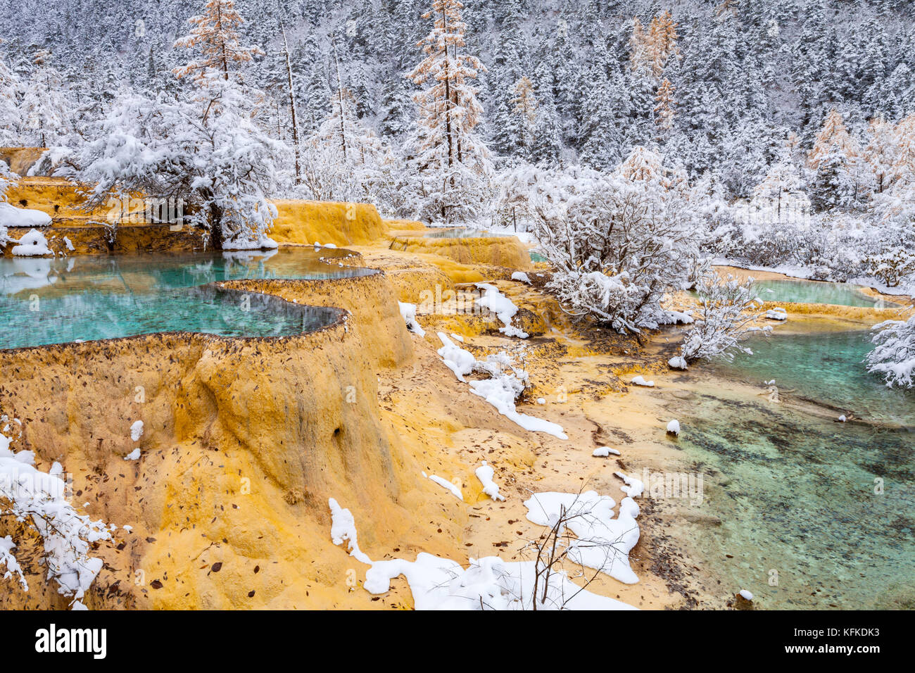 View of frozen waterfalls and snow covered trees in Huanglong, Sichuan ...