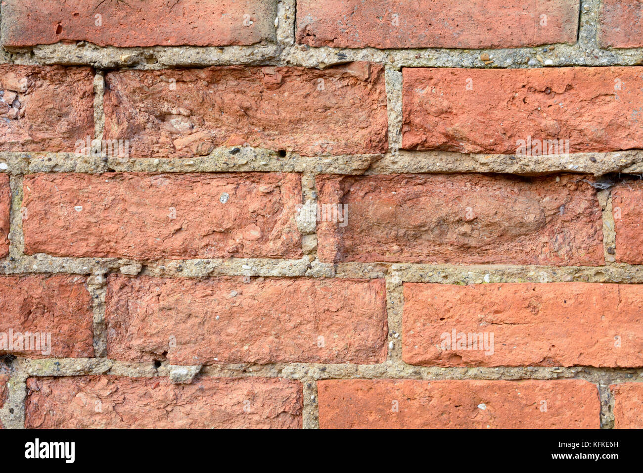 Brick wall in garden with bricks and mortar decaying diue to weathering ...