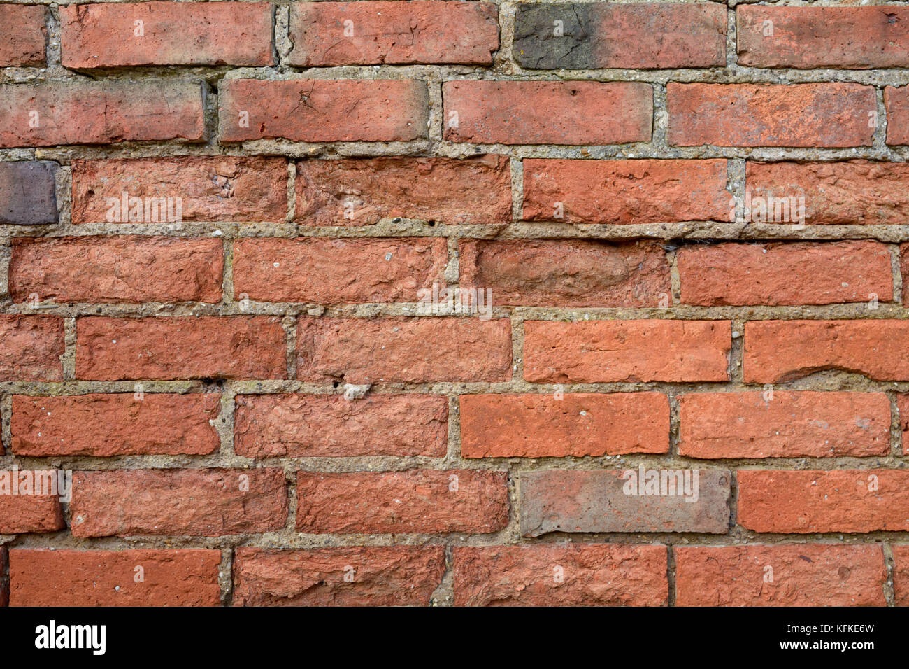 Brick wall in garden with bricks and mortar decaying diue to weathering ...